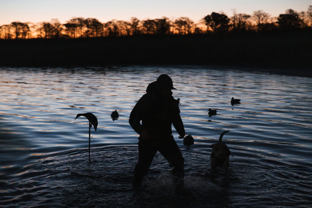 March Migration Madness: Tracking Mattamuskeet's Spring Waterfowl ...